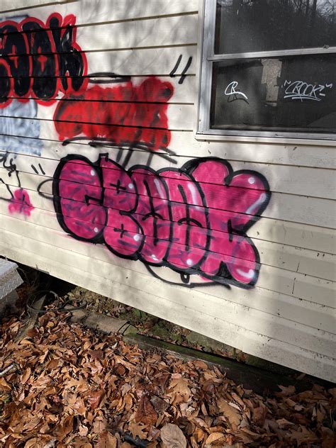 Very New To Graffiti Any Tips For My Throwie R Graffhelp