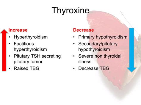 Thyroid Function Tests Pptx