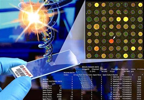 Arrayit Heat Shock Proteins Pathways™ Focused Human Genome Microarrays