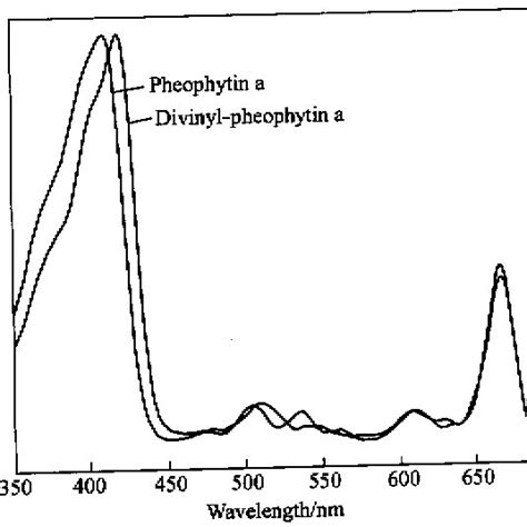 Diel Dna Distribution Of Prochlorococcus At The Maximum Chlorophyll Download Scientific Diagram
