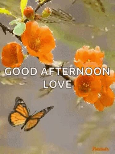Good Afternoon My Love Images S Tenor