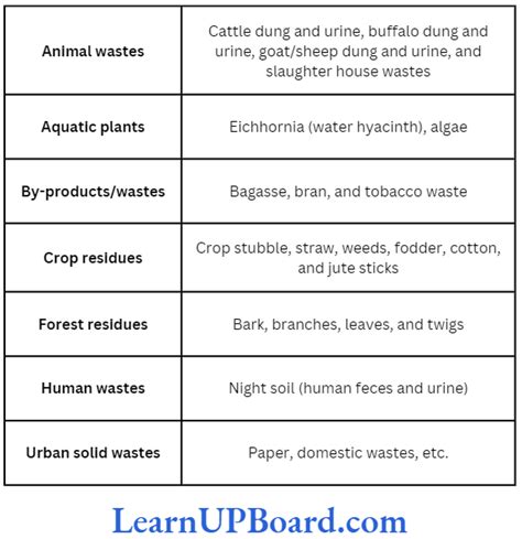 Neet Biology Notes Microbes In Human Welfare Learn Up Board