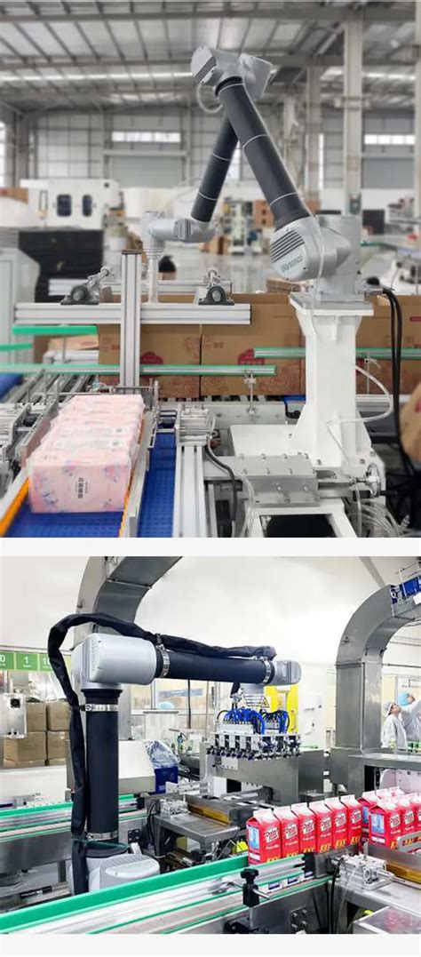 Collaborative Robot Case Packercobot Case Packerpick And Place Case