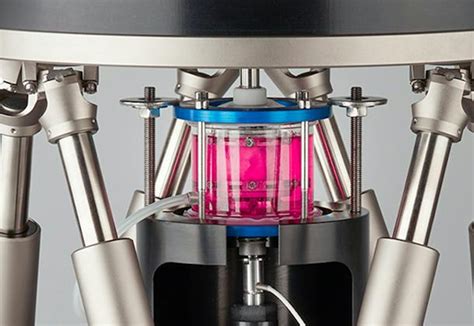 Online Bioreactor Monitoring