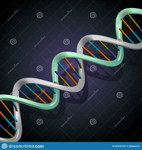 Evolution Mitochondrial Dna Stock Illustration