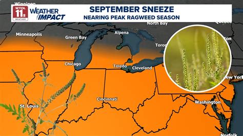 What To Know About Ragweed Pollen During Allergy Season