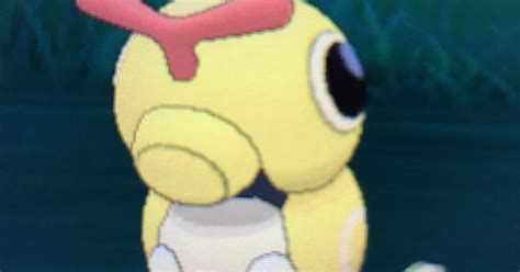 Buttercup The Shiny Caterpie And Her Evolution Album On Imgur