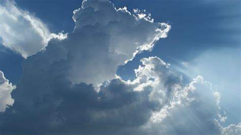 10 Cloud Based Learning Management Systems For Small Business Training Elearning Industry