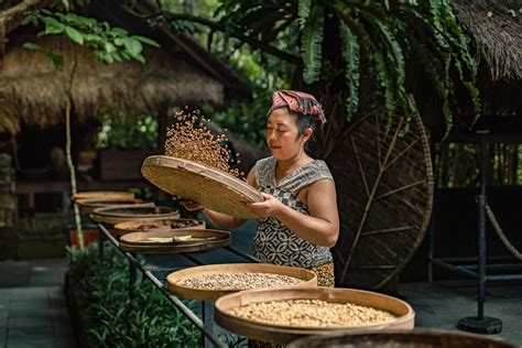 One Stop Destination In Ubud Alas Harum Bali