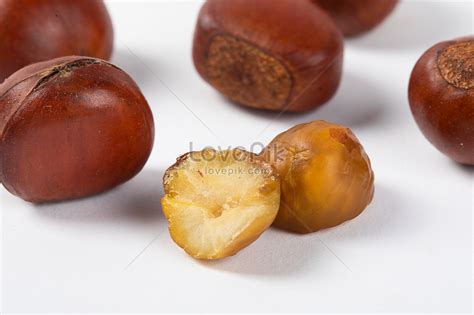 Chestnut Chestnut Image And Picture For Free Download Lovepik