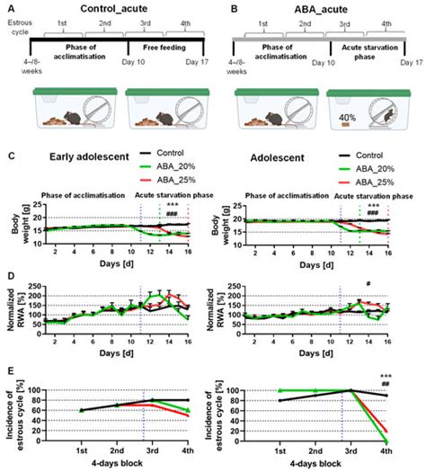 Establishment Of A Murine Chronic Anorexia Nervosa Model