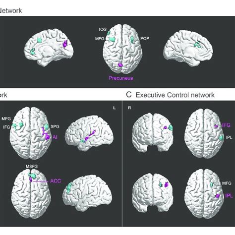 Comparison Of Resting State Functional Connectivity Between
