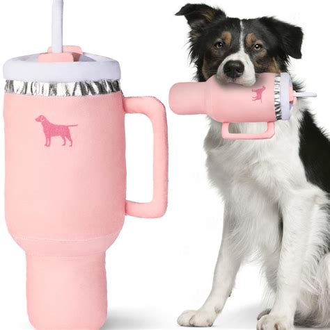 26 Best Stanley Cup Accessories Of 2024