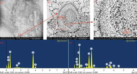 Sem Photomicrographs Of The Bioclastic Particles Of S1 A Dissolved