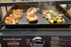 Portable Propane Blackstone Griddle Pros And Cons