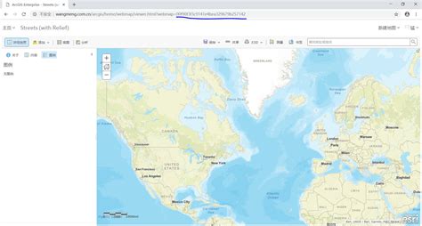 Arcgis Javascript Api48 底图选择的几种方案arcgis Api 48 Csdn博客