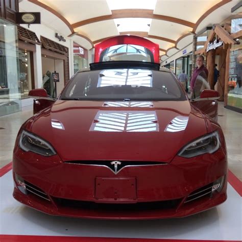 Dylans Friend Seward Youtube