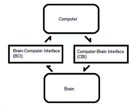Process Flow Between A Brain And Computer Bidirectional Flow Of Download Scientific Diagram