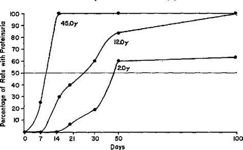 Figure 1 From Experimental Glomerulonephritis Semantic Scholar