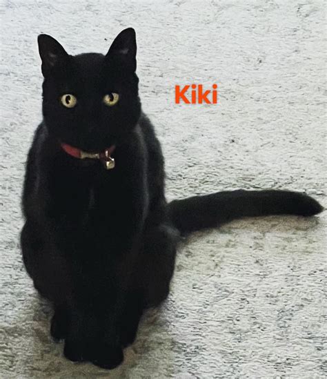 Kiki R Blackcats