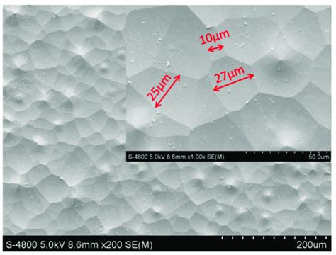 Micrograph Of The Microwell Array Download Scientific Diagram