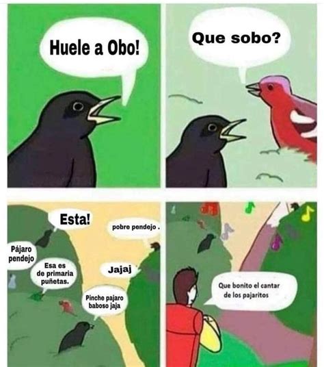 Huele A Obo Imágenes Graciosas Tumblr Gracioso Meme Del Dia