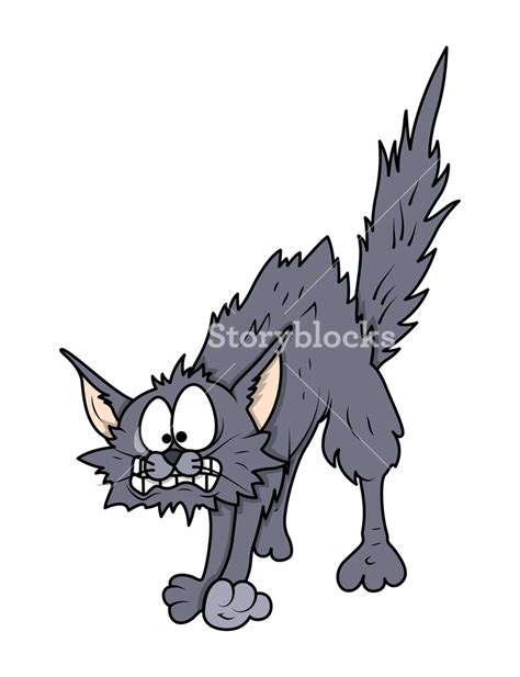 Scared Funny Cat Halloween Vector Illustration Royalty Free Stock