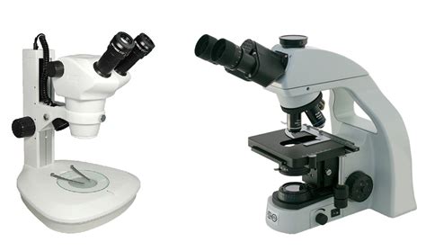Difference Between Compound And Dissecting Microscopes Microscope World