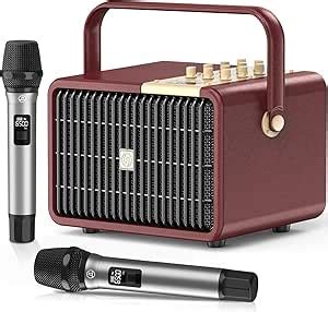 Supniu 320w Peak Power Karaoke Machine With Rich Deep Bass For Adults