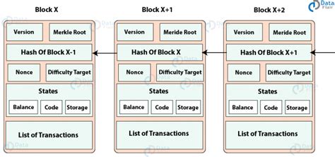 Understanding The Basics Of Blockchain Nourish The Roots Of
