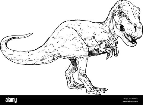 Real Dinosaur Pictures T Rex Drawing