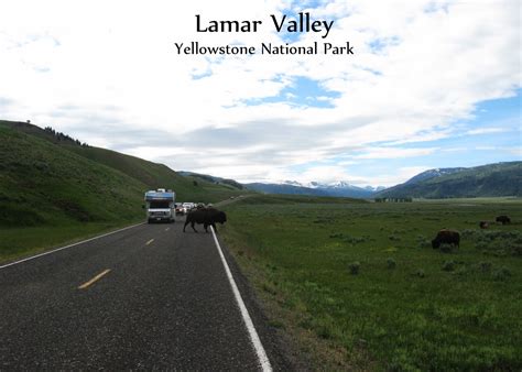 51 Cent Adventures Yellowstone National Park Things You Cant Miss