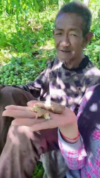 我的爸爸72岁了，还能帮我干活，我很爱我的爸爸妈妈，虽然我亏欠了父母，没能力让他们过好一点的生活，但是接下来的日子再苦再累我都会照顾好你们。大山里的女孩 农村妹 Youtube