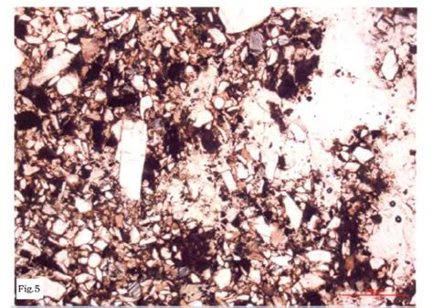 Photomicrograph Of The Overlying Sediments Note The Angular To