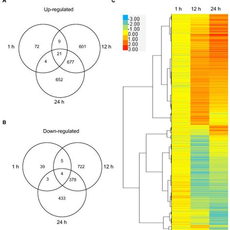 Cluster Analysis Of Differentially Expressed Hsr Genes A B Venn Download Scientific Diagram