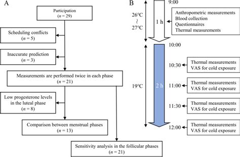 Association Of Brown Adipose Tissue Activity With Circulating Sex