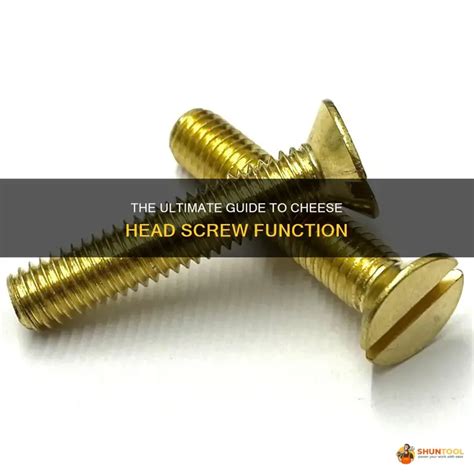 The Ultimate Guide To Cheese Head Screw Function Shuntool