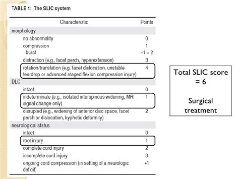 Slic System Slic System