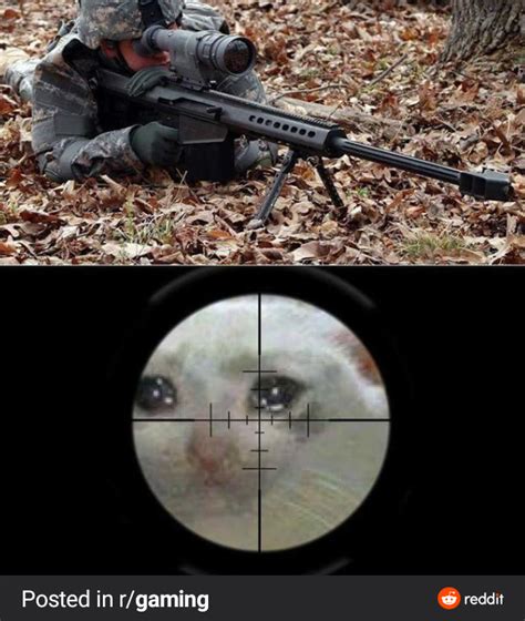 When You Spot The Predator Healing Across The Map Rhuntinggrounds