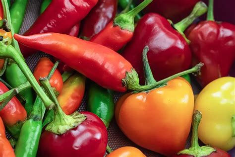 Chili Con Carne Goya Europa