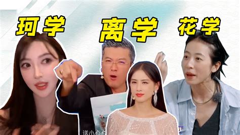 【内娱三大新学科】不仅杨子爹味厉害，黄圣依大娇妻她真的超爱 接二连珊妄想症 接二连珊妄想症 哔哩哔哩视频