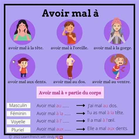 the words in french are used to describe different types of people's ...