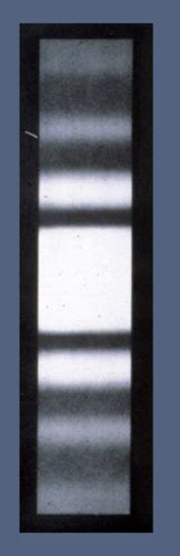 Key Concepts And Definitions Of Diffraction In Physics Flashcards Quizlet Key Concepts And Definitions Of Diffraction In Physics Flashcards Quizlet