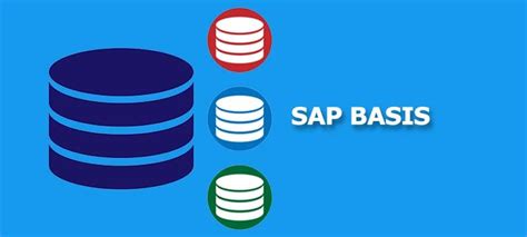 What Is Sap Basis Thought Process Corporate Training Leader