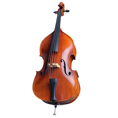 Download Double Bass In Orchestra Png Ttu94