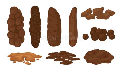 Bristol Stool Form Scale With Faeces Type Images Stock Vector Illustration Of Design Brown