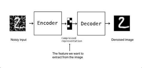 Autoencoders Tutorial What Are Autoencoders Edureka