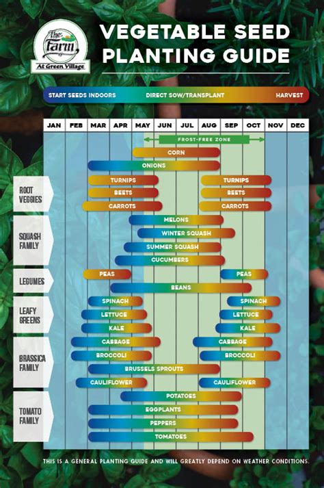 Vegetable Seed Planting Guide The Farm At Green Village
