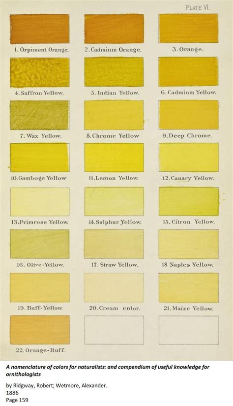 Colors For Naturalists A Guide To Identifying And Classifying Shades
