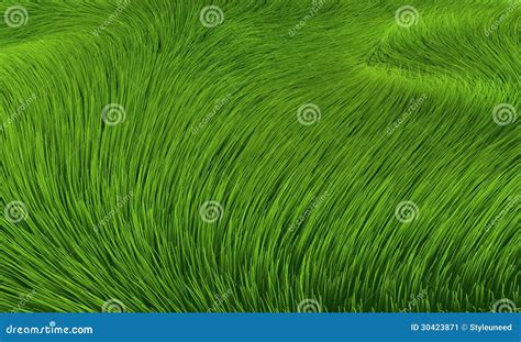 Abstract Grass Stock Illustration Illustration Of Closeup 30423871